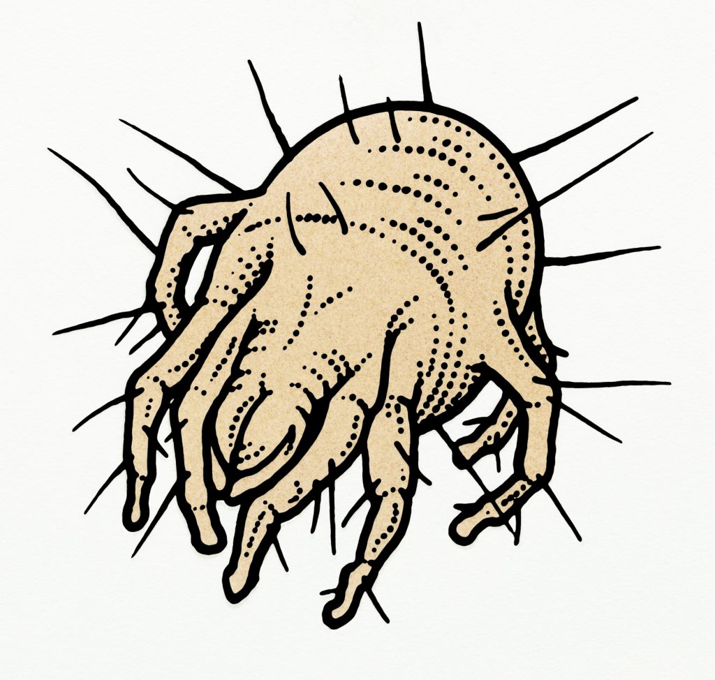 7 Surprising Dust Mite Facts - Allergic Living